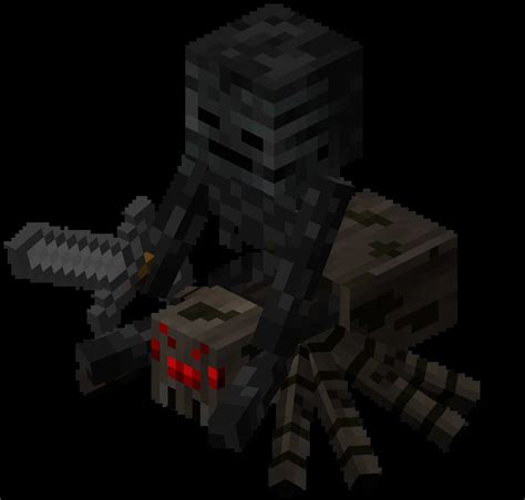 Image result for Wither Skeleton Armor Minecraft Java