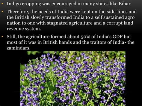 Image result for Class 12th Indian Economic Development Mind Map