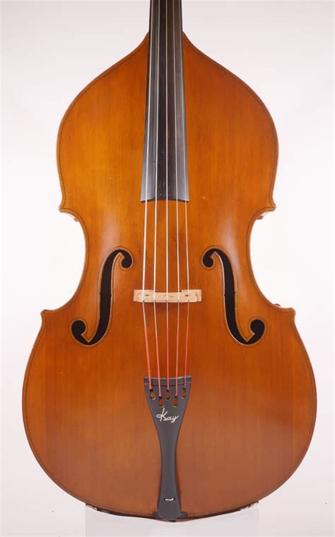 Image result for One String Double Bass