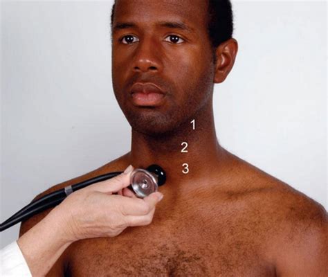 Image result for Sternal Spring Test