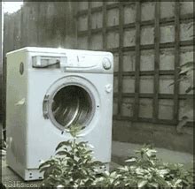 Image result for Washing Machine Vibration GIF