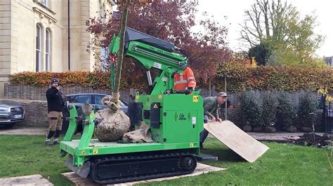 Image result for Lift Machine for Tree