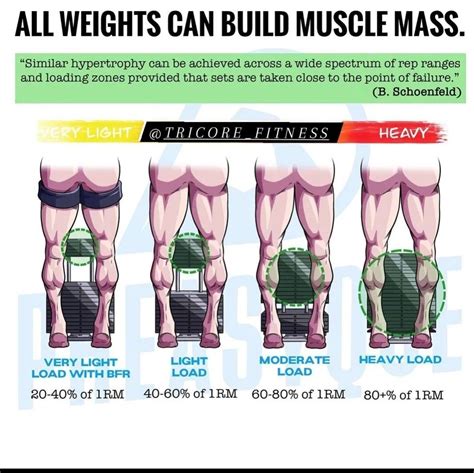 Image result for Building Muscle Mass Sublinal