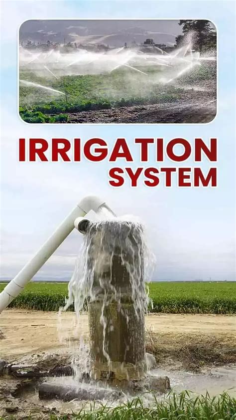 Image result for Irrigation Types
