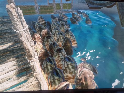 Image result for Stranded Deep Best Base