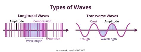 Image result for Longitudinal Wave Diagram Labeled