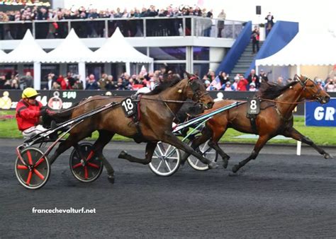 Image result for Course de Chevaux en Direct