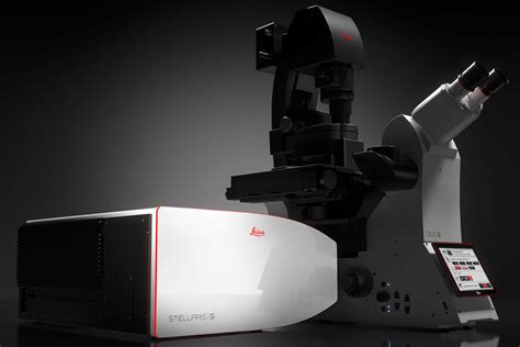 Image result for Confocal Microscopy Tutorial