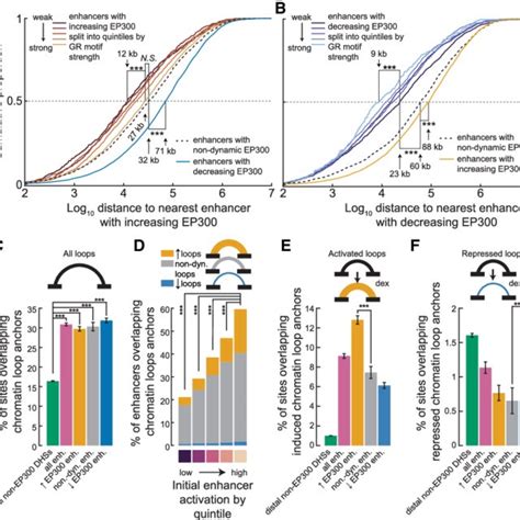 Image result for Enhancer Types