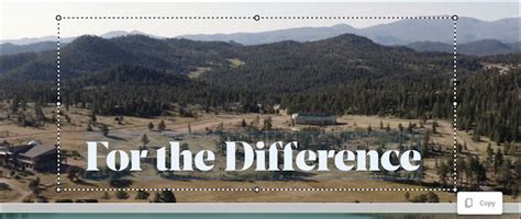 Image result for Where Does Web Capture Copy Go