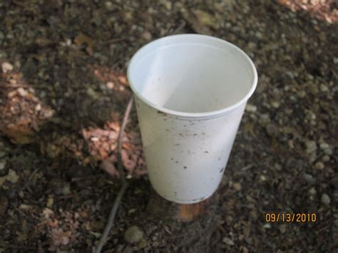 Image result for DIY Backyard Mini Golf Course