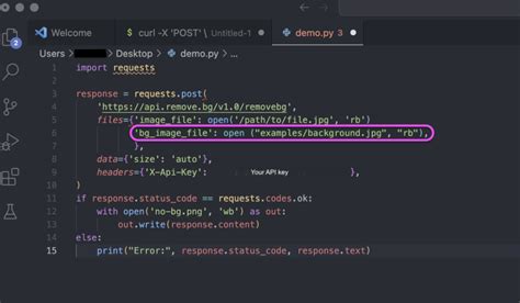 Image result for Customize API