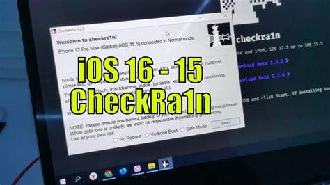 Image result for Checkra1n iOS Version