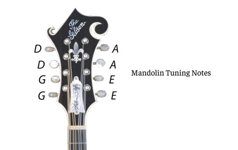 Image result for Standard Mandolin Tuning Chart