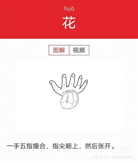 Image result for Chinese Sign Language