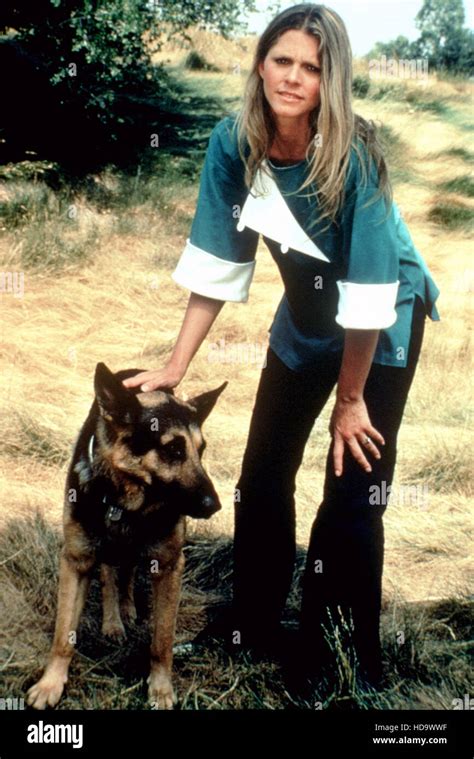 Image result for Bionic Woman Bionic Dog