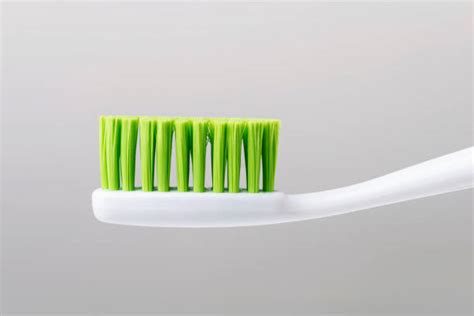 Image result for Toothbrush Side View