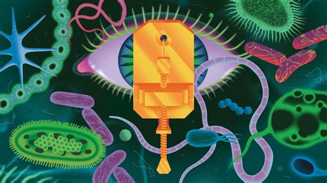 Image result for Scientific Revolution Microscope