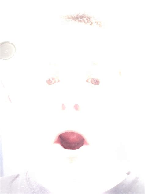 Image result for Cursed Turtle Man