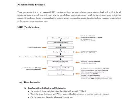 Image result for Multiplex IHC Protocol