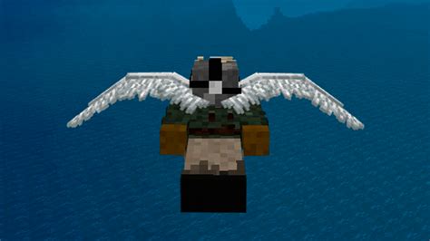 Image result for Minecraft Normal Wing
