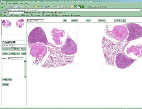 Image result for Virtual vs Real Image Microscope