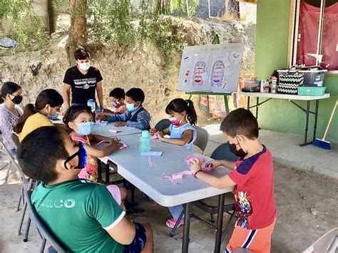 Image result for Learning Cells