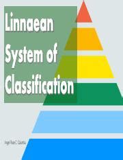 Image result for Linnaean Classification Worksheets