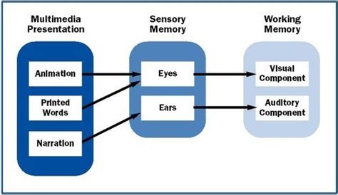 Image result for Modality Principle Example