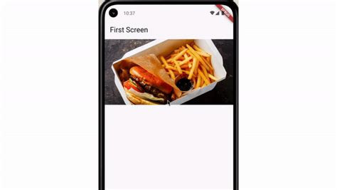 Image result for Flutter Advanced UI Animation