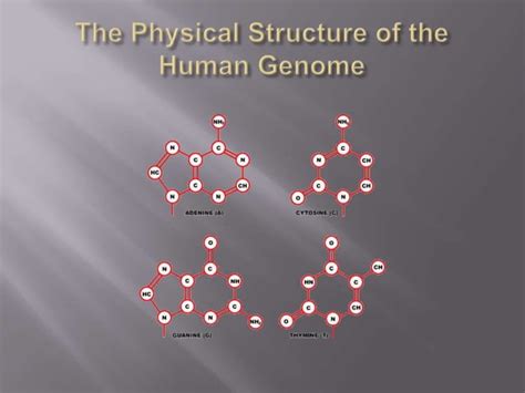 Image result for Life Science Over View Grade 12