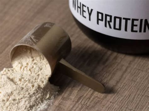 Image result for Making Protien Powder Process