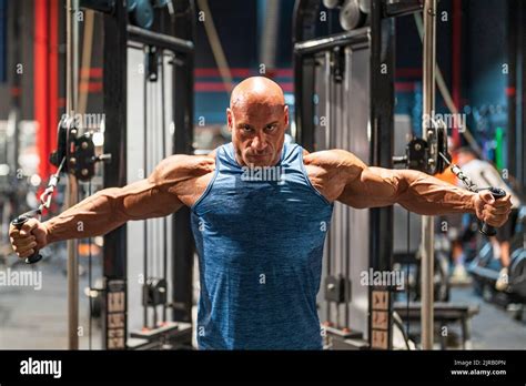 Image result for Chest Exercise Machine