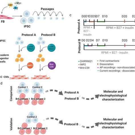 Image result for HyperStudy Design of Experiments