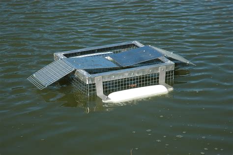 Image result for How to Build a Turtle Trap