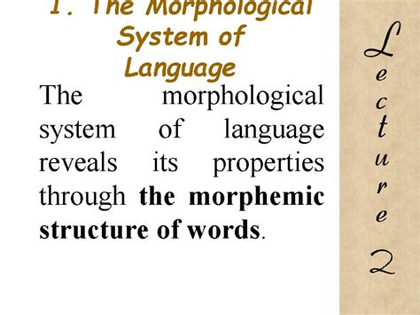 Image result for Morphological System Examples