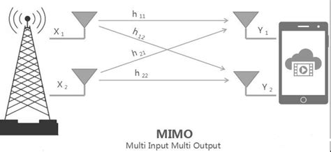 Image result for Finding Mimo