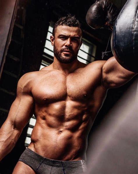 Image result for Boxer Model Mengine