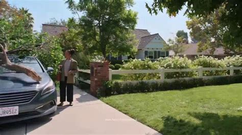 Image result for State Farm Streaming