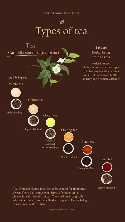 Image result for Tea Types List