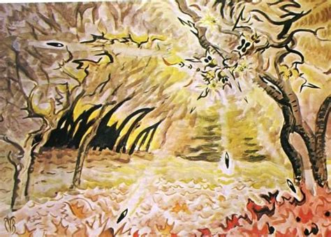 Image result for Exploding Witch Hazel