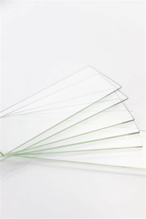 Image result for Preparing Simple Microscope Slides