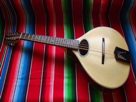 Image result for 10 String Mandolin