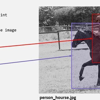 Image result for Letterbox Yolo Python