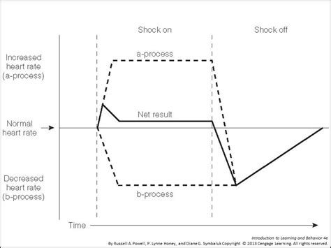 Image result for Opponent Process Theory Example