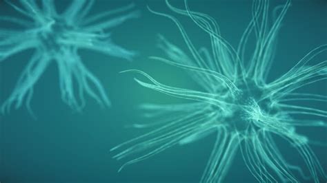 Image result for Protein Microscope