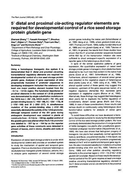 Image result for Distal Control Elements