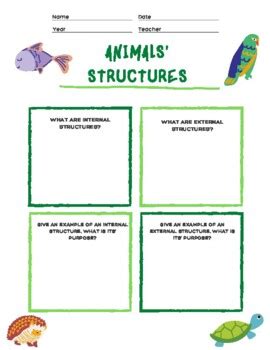 Image result for Frame and Shell Structures of Animals Grade 5