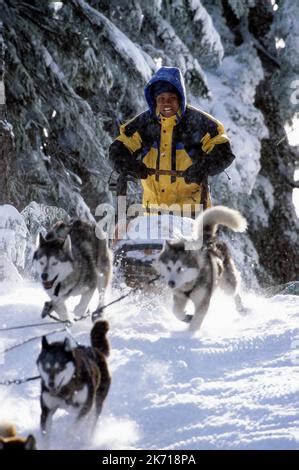 CUBA GOODING JR., SNOW DOGS, 2002 Stock Photo - Alamy