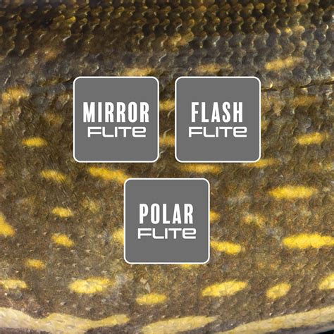 Image result for Fly Vision Lens